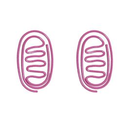 Gut Bowel Intestine Shaped Paper Clips | Decorative Paper Clips ...